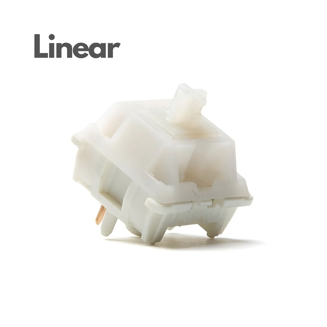 BSUN Raw Switches – Neo Macro